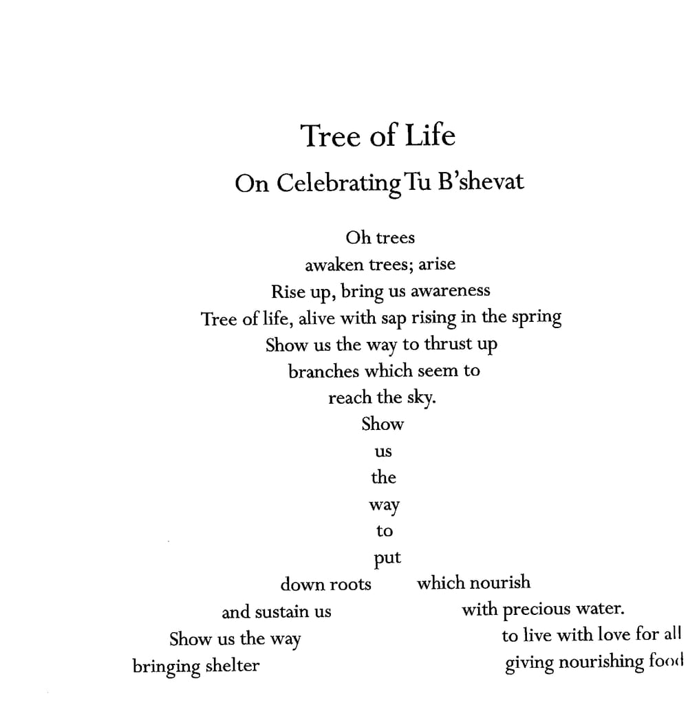 Life Cycle Announcements